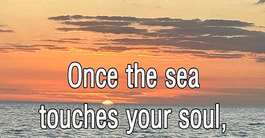 The Starfire Codes by Demi Pietchell | Substack