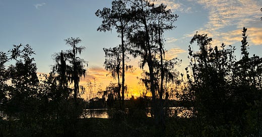 Minor Fossil | Substack