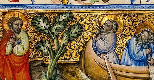 Via Mediaevalis | Robert Keim | Substack