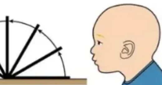 Small Potatoes | Paul Bloom | Substack