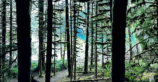 Only Child Originals | Garen Marie | Substack