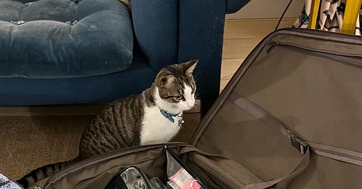 Everything Is Material - Jojo's Substack | Jojo Moyes | Substack