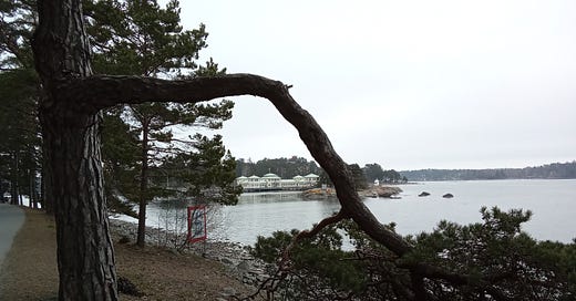 Wood From Eden | Tove K | Substack