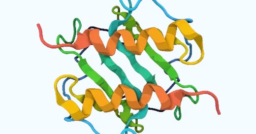 How does AlphaFold 2 Work? - by Amitav Krishna
