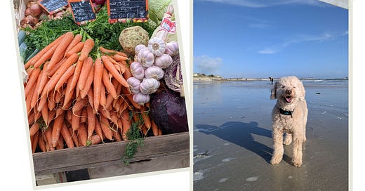 A Table in France | Audrey Le Goff | Substack