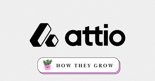 How They Grow | Jaryd Hermann | Substack