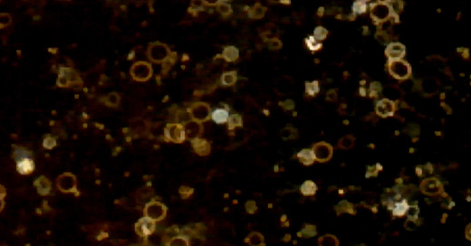 FM8’s Substack | Substack