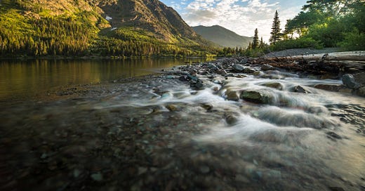 TRANSFORM with Marianne Williamson | Substack