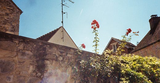 Life, A Series of Experiments | Nathaniel Drew | Substack