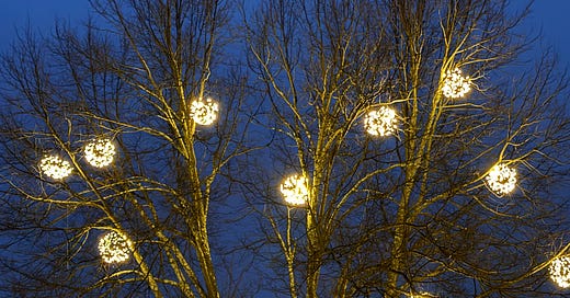 Poor Man's Feast | Elissa Altman | Substack