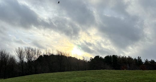 Youier | El Edwards | Substack