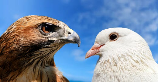 Eliant’s Exploits | Substack