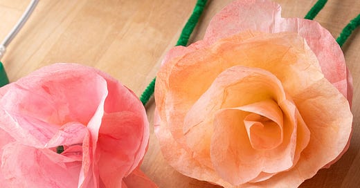 Hello, Wonderful | Substack