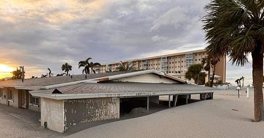 A Peace of Milk and Honey | Sandy | Substack