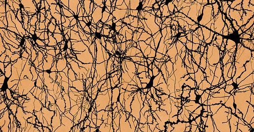 Archive - Astral Codex Ten