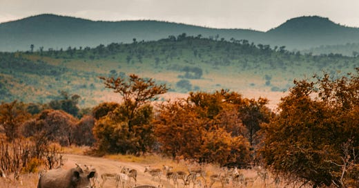 Omega4America’s Substack | Substack