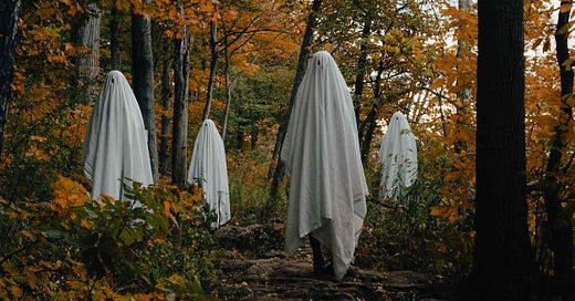 John Hawks | Substack