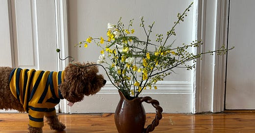 Small Pleasures | Sandy Sanchez | Substack