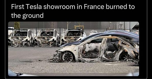 Think Future | Cassidy Steele Dale | Substack