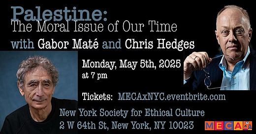 The Chris Hedges Report | Substack