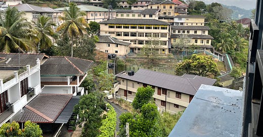 The Weekly Dish | Andrew Sullivan | Substack