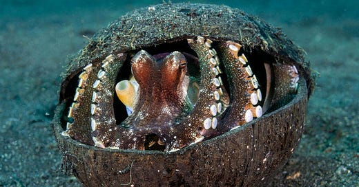 What Happens Next in 6 Minutes with Larry Bernstein | Substack