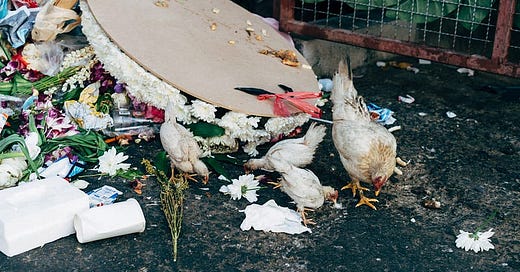 Trauma to Strength | Leon Macfayden | Substack