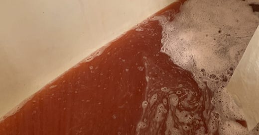 The Quiet Part | Kay Poyer | Substack