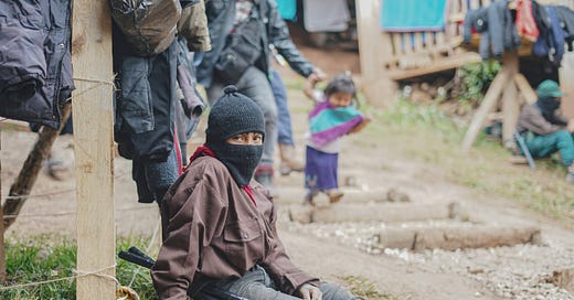 Pirate Wire Services | Joshua Collins | Substack