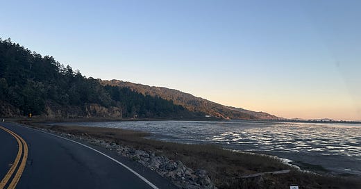 Archive - bookbear express