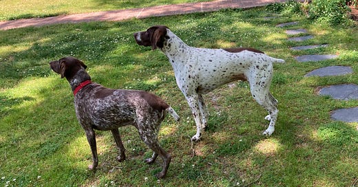 Prufrock | Micah Mattix | Substack