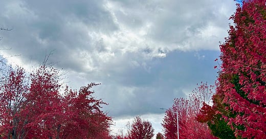 Looks Good | Adrien | Substack