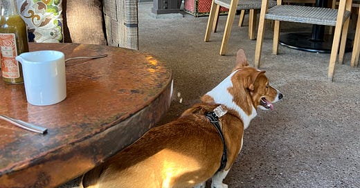 Happier In Hollywood | Sarah Fain | Substack