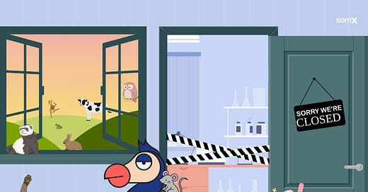 Biotech Dodo | SomX | Substack