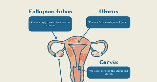 The Female Lead | Substack