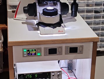 Karl.C’s Substack | Substack