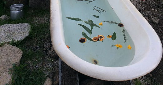 Jaymie’s Substack | eagle rock and the wolf | Substack