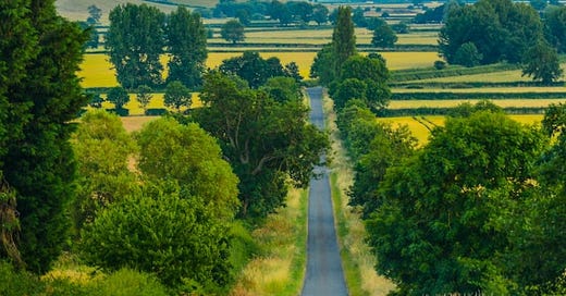 Aging Well Newsletter | Janice Walton | Substack