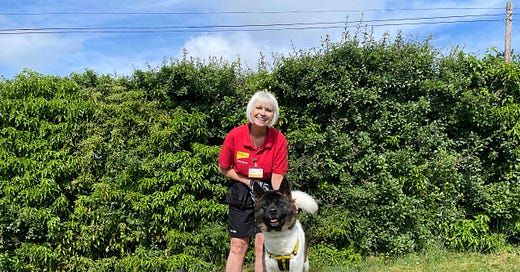 Inside Salisbury | Substack