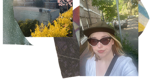 Like Water Over Moss | Amanda | Substack