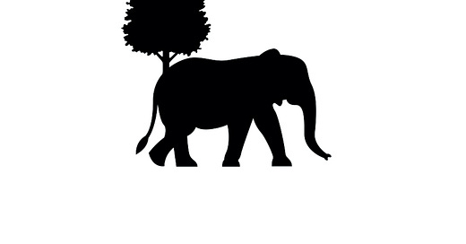 Forgive yourself.. - by Mona Eisa