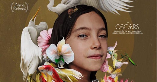 Out of the Wild with Ken Ilgunas | Substack