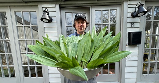 COMBINATIONS | Frankie Celenza | Substack