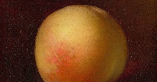 Sherry Ning | Substack