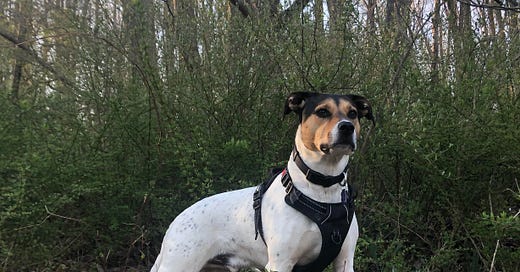 What then? | Sam Alaimo | Substack