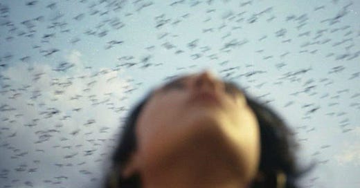 postscriptbyliv | liv jarrell | Substack