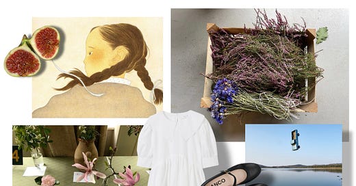 Ella’s Archive | Substack