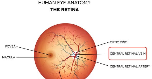 Thomas P.M. Barnett’s Global Throughlines | Thomas PM Barnett | Substack
