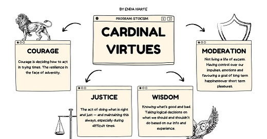 Radically Pragmatic | Anuradha Pandey | Substack