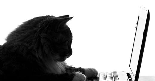 The Virago Channel | Heather Martel | Substack